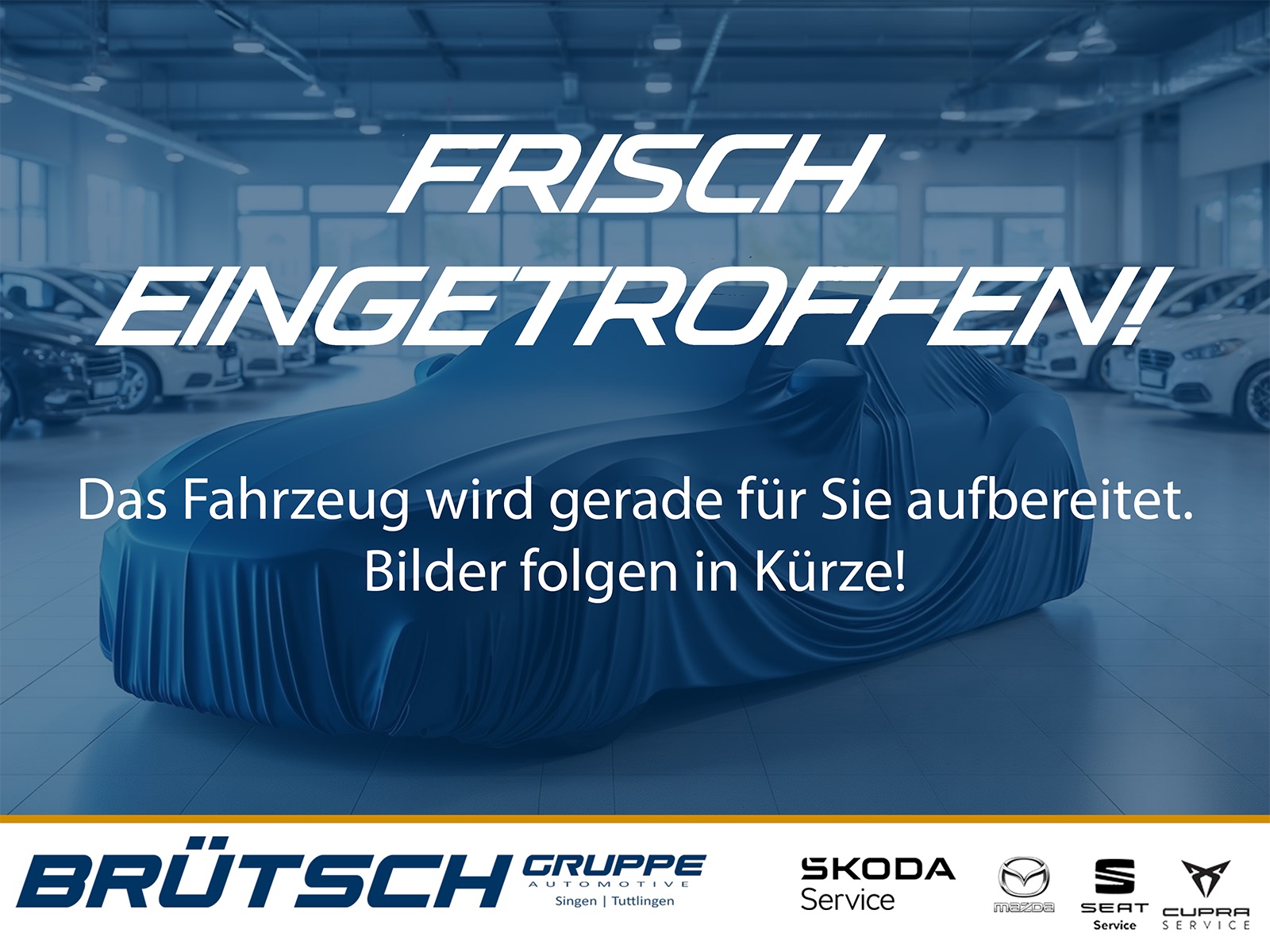 Cupra Leon Sportstourer 1.5 eTSI ACT DSG Matrix-LED / Vision-Paket / Navi neu kaufen in Singen ...